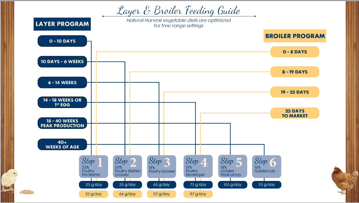 4.4 Poultry – Kweseltken Agriculture Guide